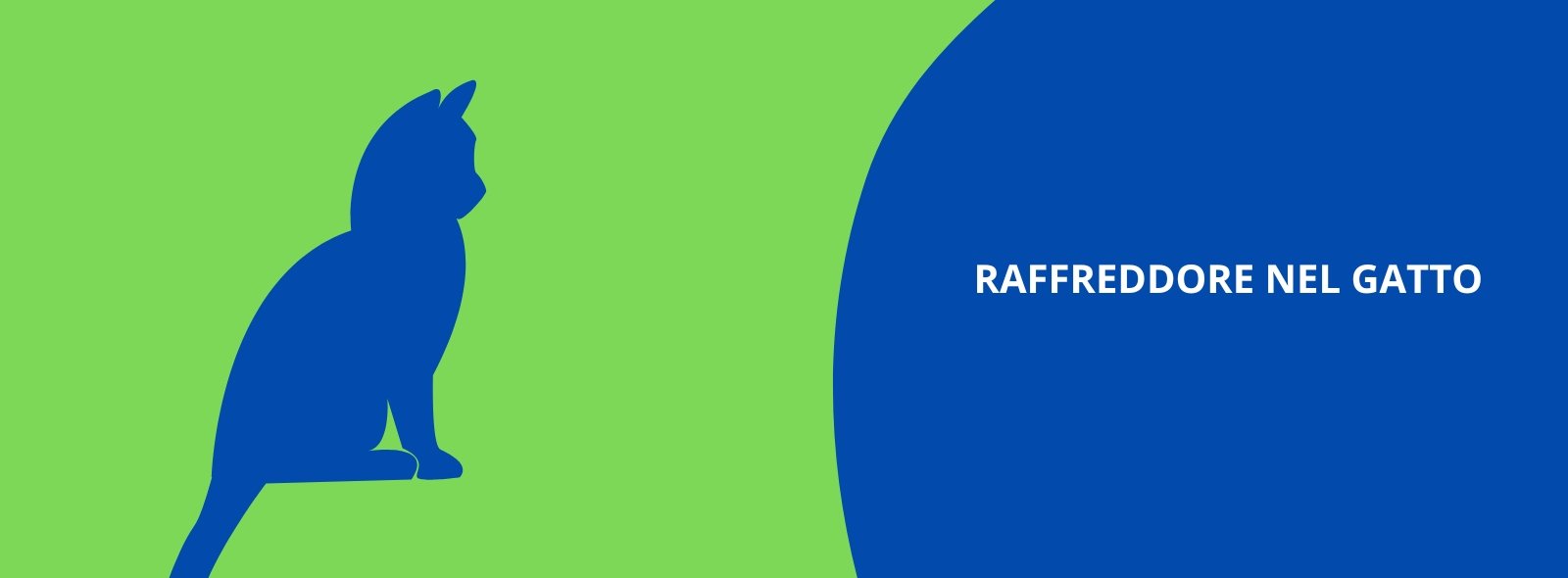 Raffreddore e Raffreddore Cronico nel Gatto; Cause, Sintomi, Cura